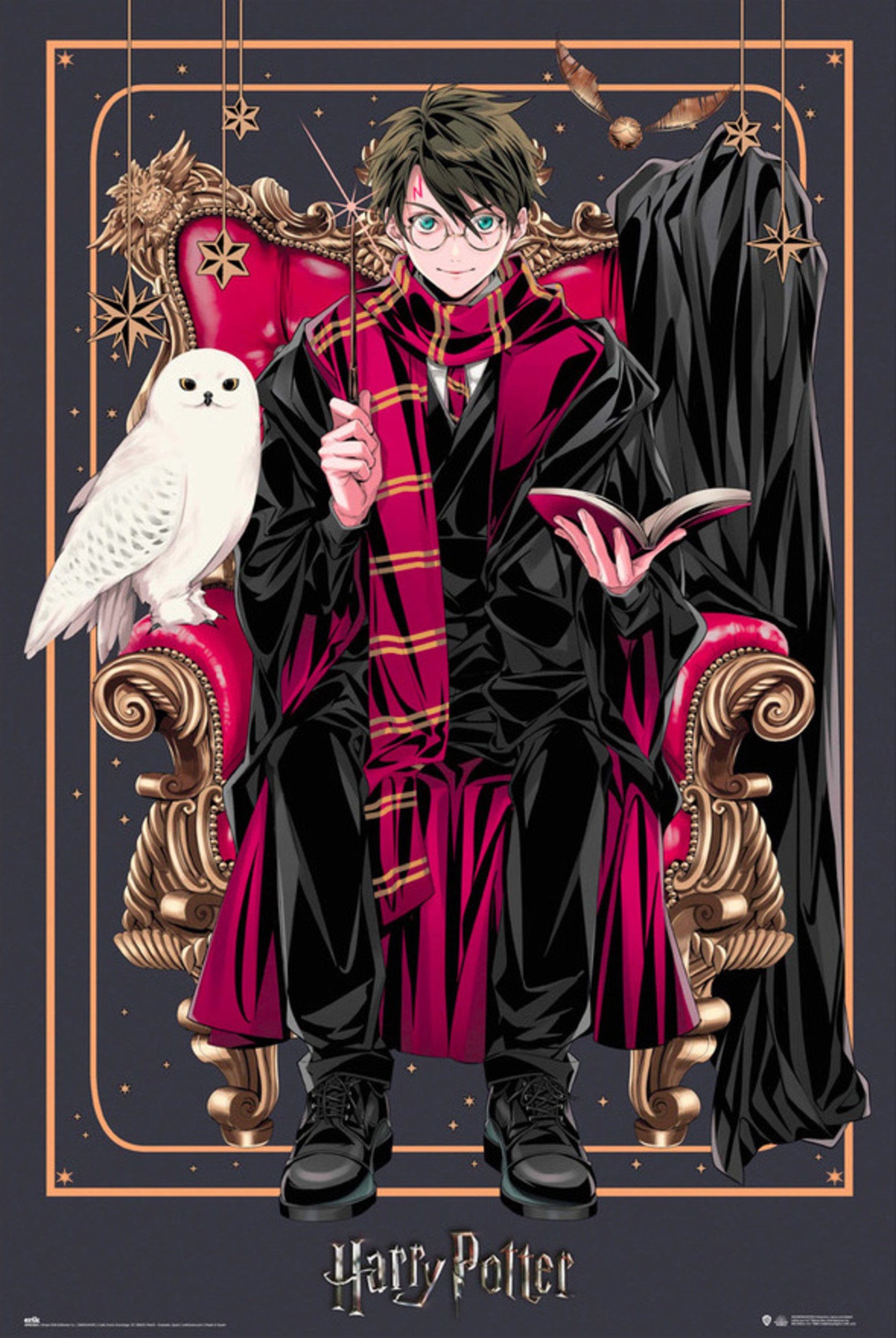 Poster Harry Potter Wizard Dynasty 61x91,5cm | Yourdecoration