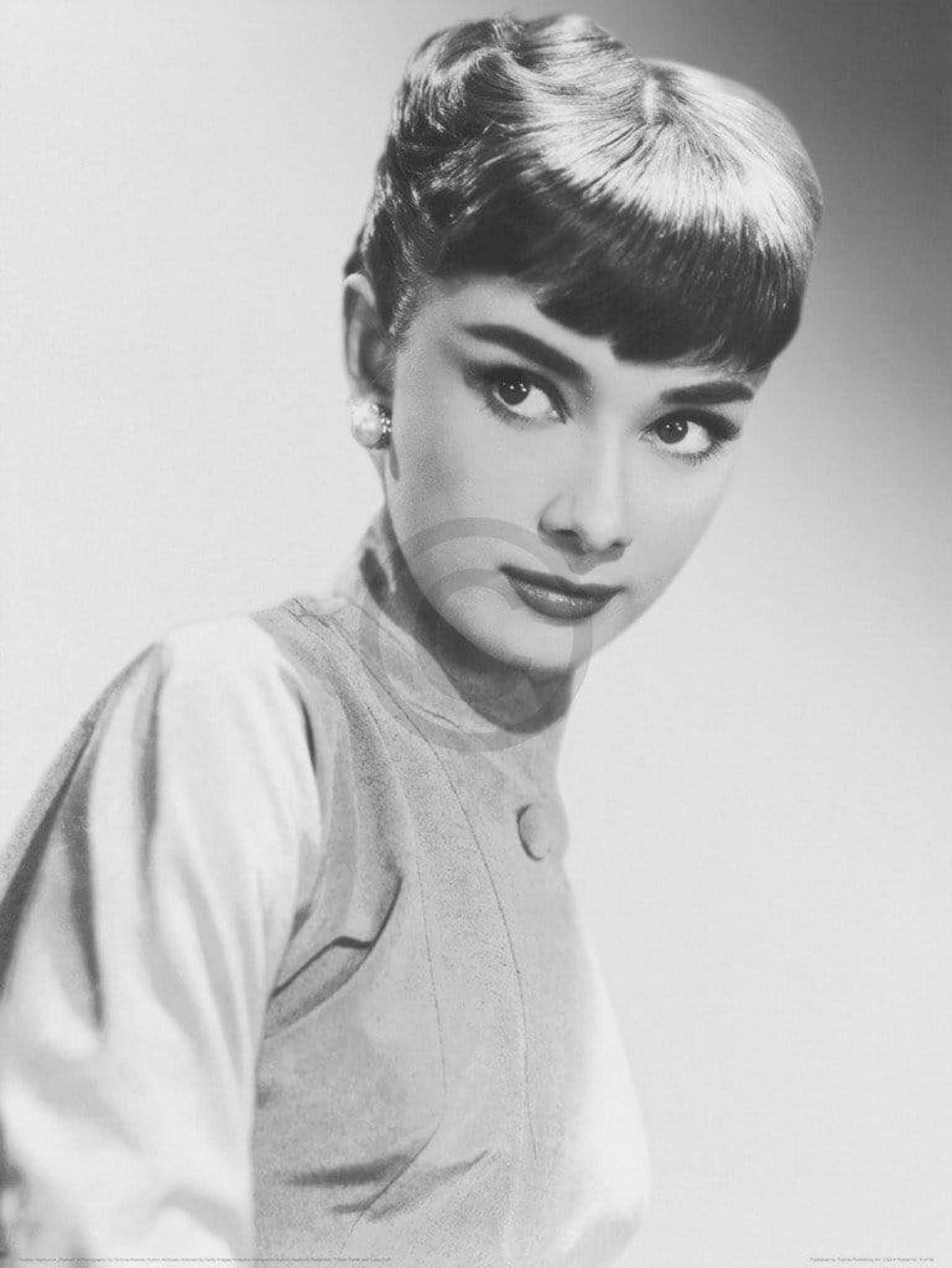 Affiche Art Hero Audrey Hepburn Portrait 60x80cm | Yourdecoration.fr